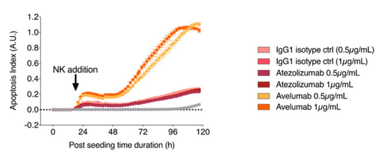 ADCC assay I NK cells I Immuno-Oncology CRO services