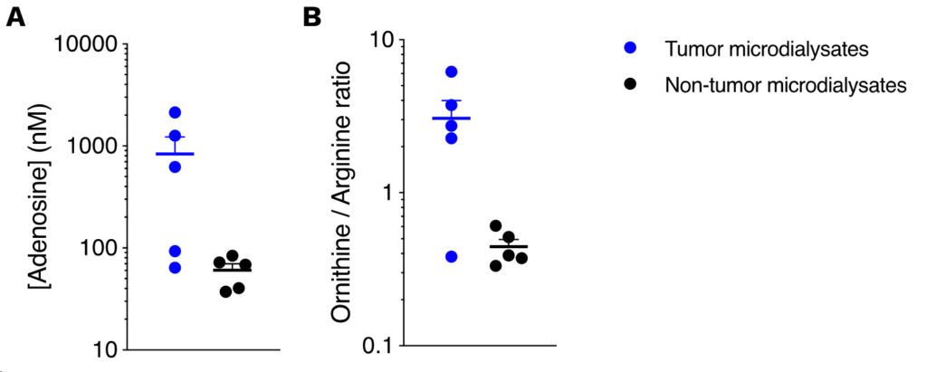 EMT6 Syngeneic Breast Cancer Murine Model I CRO Services