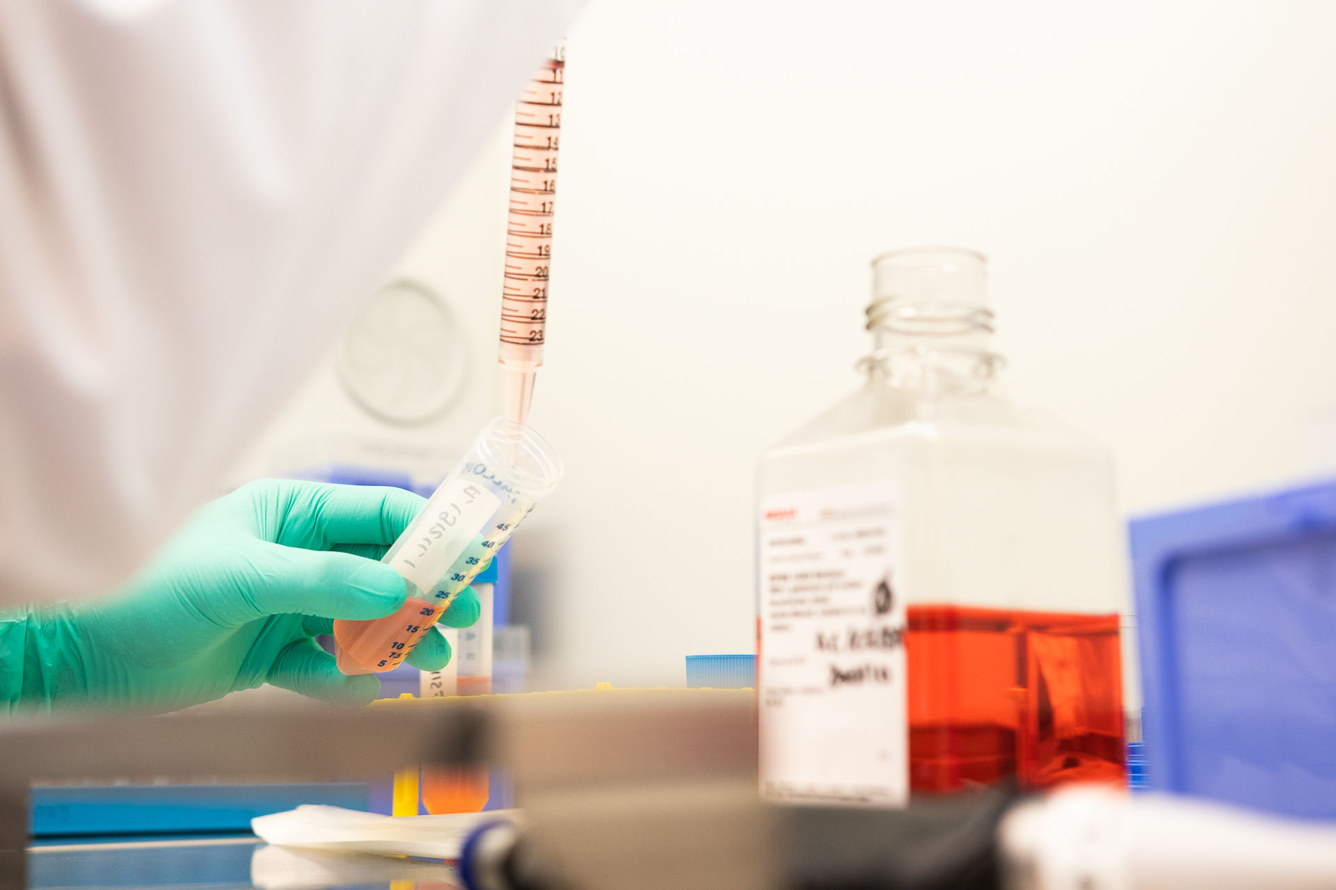 Cell-based Assays for Immuno-Oncology I In vitro CRO services