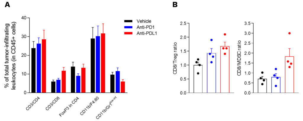 GL261 Syngeneic Mouse Model of Glioblastoma I CRO services