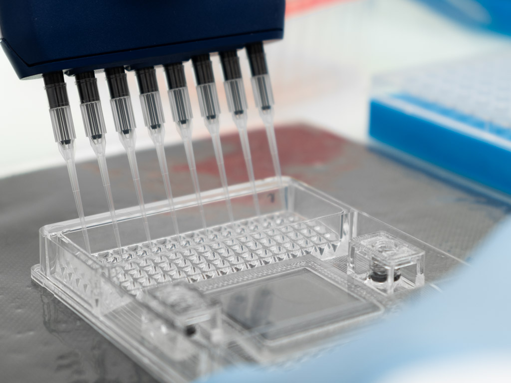 Olink Proteomics Services for Immuno-Oncology