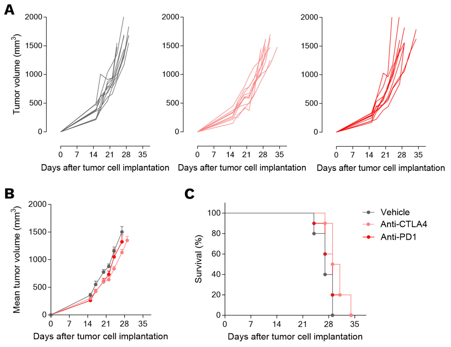 4T1 Syngeneic Breast Tumor Mouse Model I Preclinical CRO