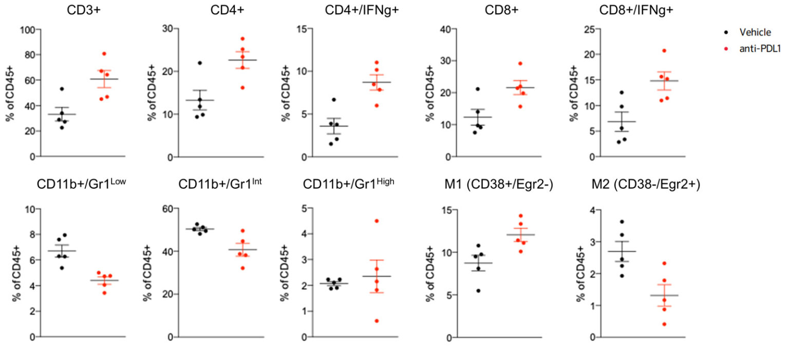 MCA-205 Syngeneic mouse model of Sarcoma I CRO Services