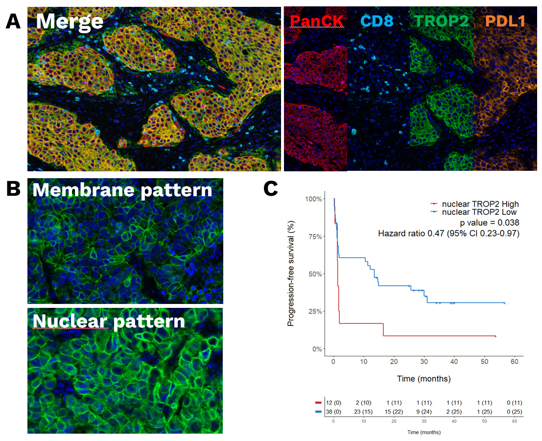 Target Identification & Validation for Cancer Immunotherapies I CRO ...