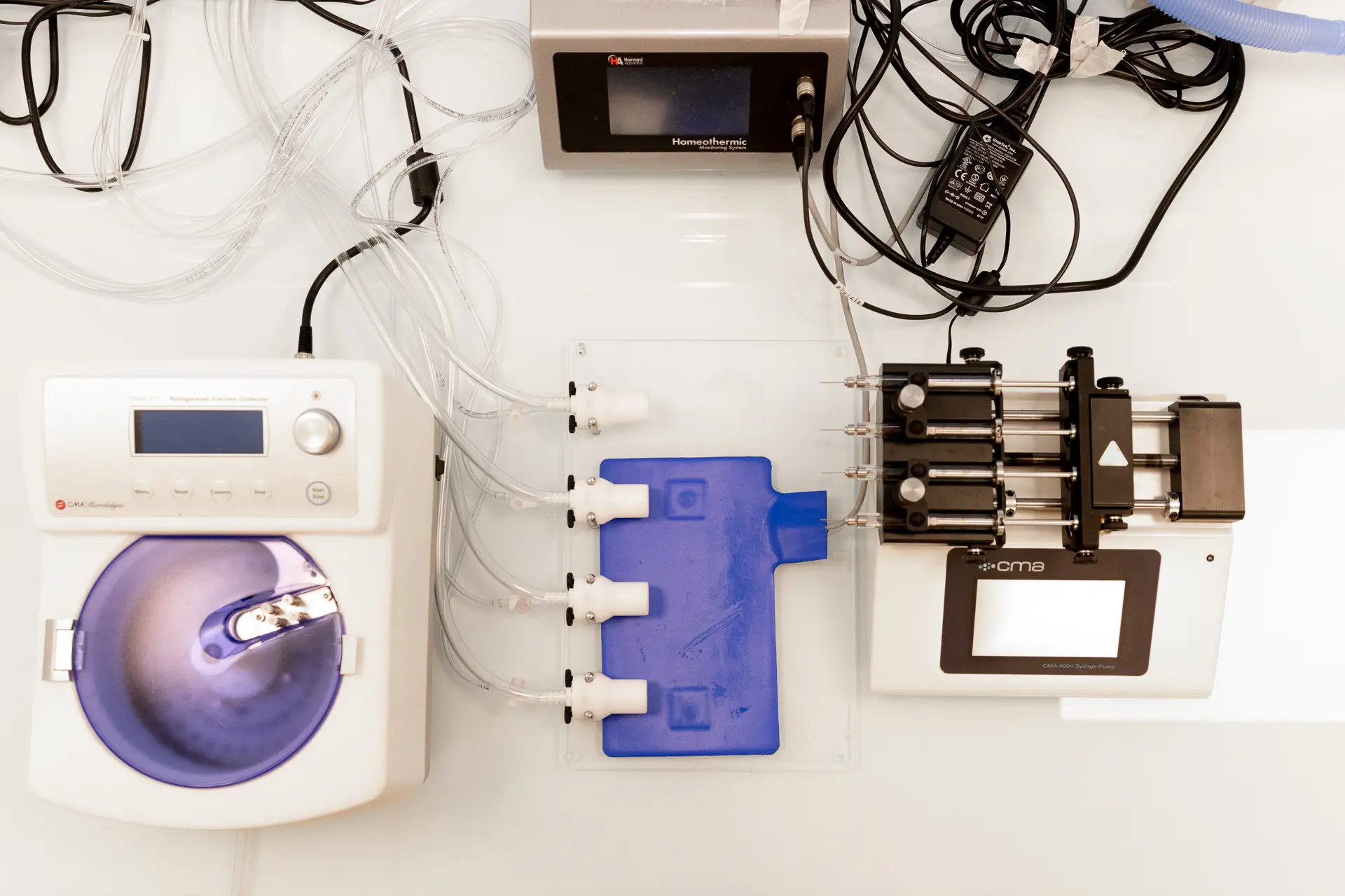 In vivo models for Immuno-Oncology I Preclinical CRO Services