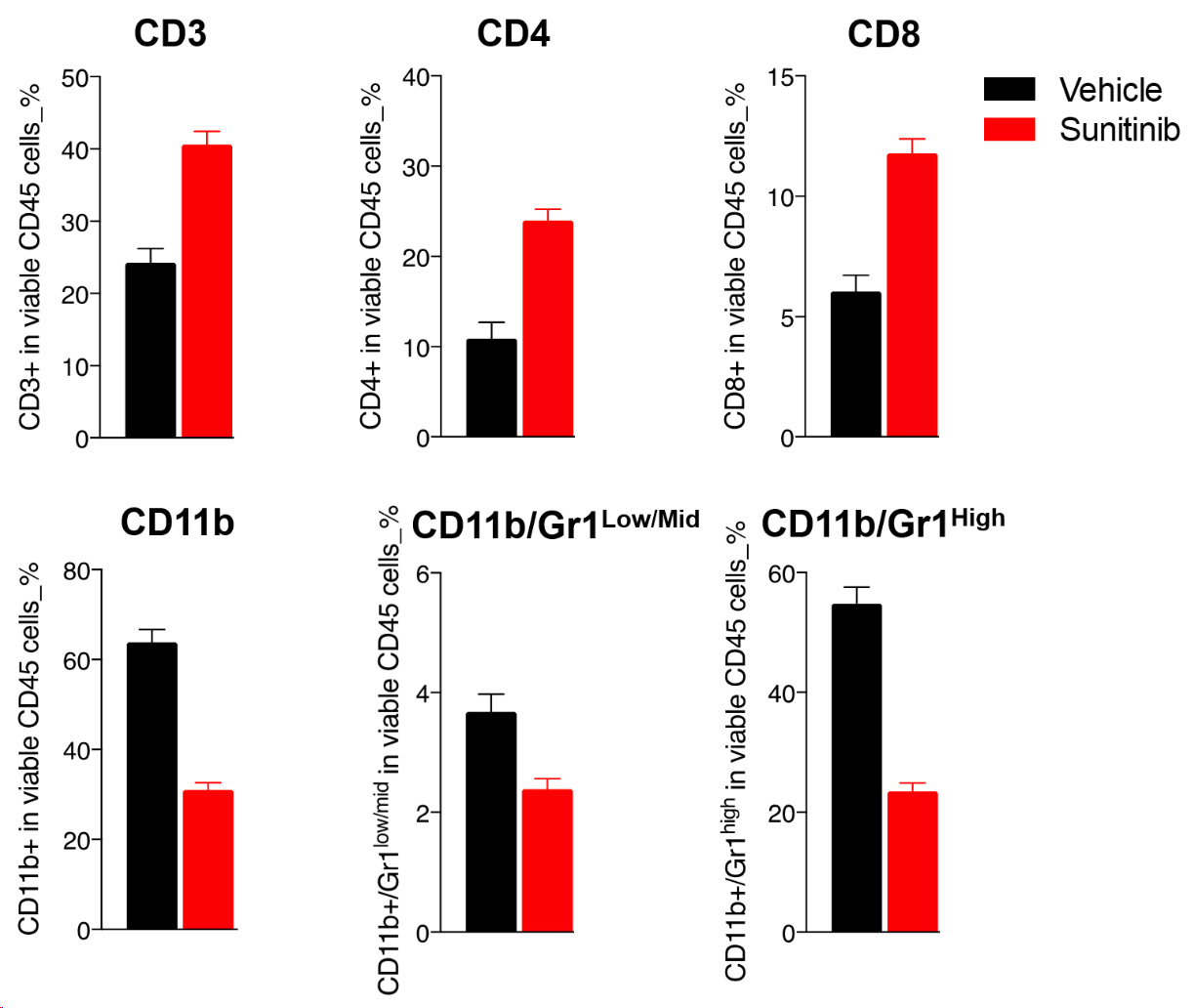 Renca Syngeneic Model of Renal Cancer I Kidney Tumor I CRO