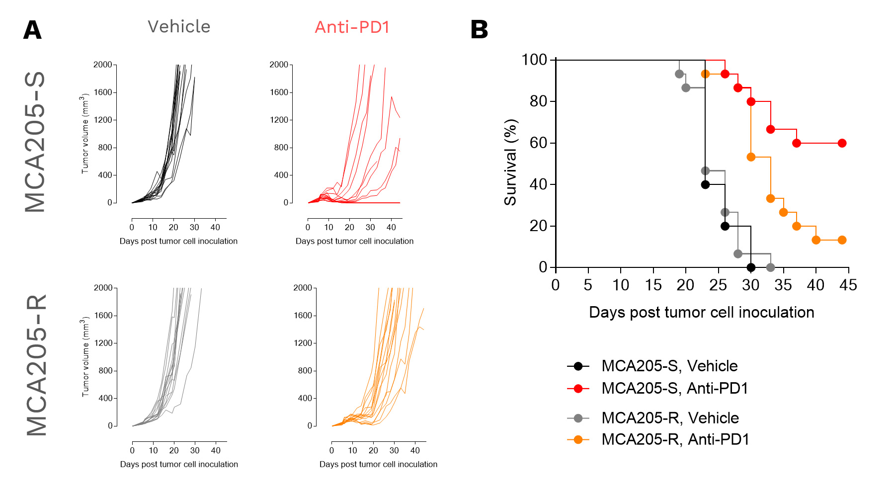 Immune response profiling for cancer immunotherapies - Preclinical CRO ...