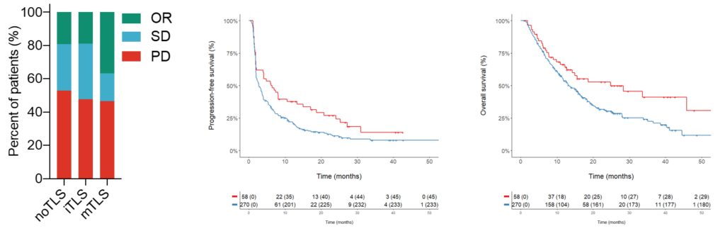 Tls Detection And Scoring For Cancer Immunotherapy Explicyte Immuno Oncology