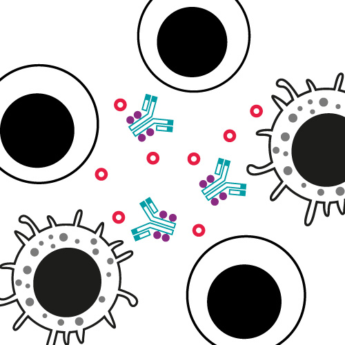 Antibody Drug Conjugate (ADC) Discovery & Proof-of-Concept services