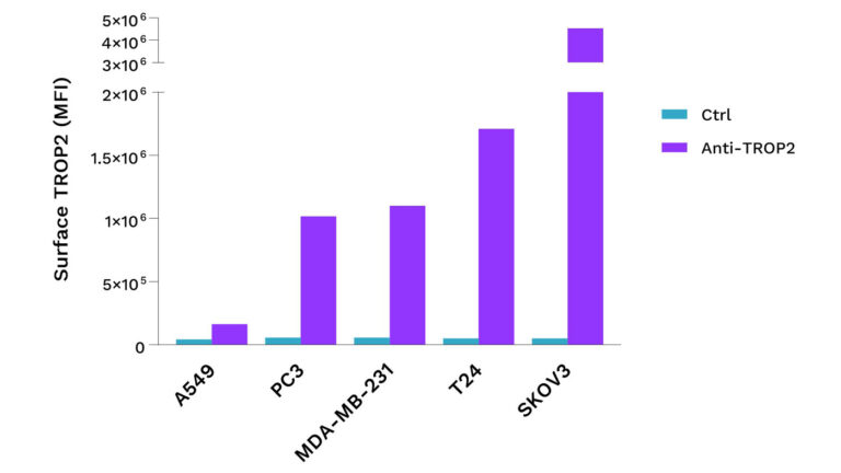 Antibody Drug Conjugate (ADC) Discovery & Proof-of-Concept services