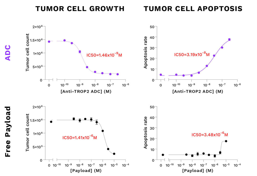 Antibody Drug Conjugate (ADC) Discovery & Proof-of-Concept services
