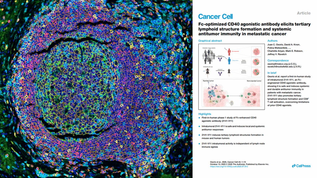 Inducing Tertiary Lymphoid Structures (TLS): our IHF data released in ...
