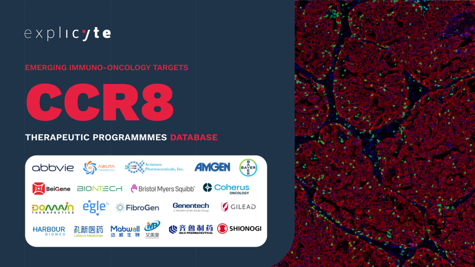 Anti-CCR8 Therapies in Development - Database for Download - Explicyte Immuno-Oncology